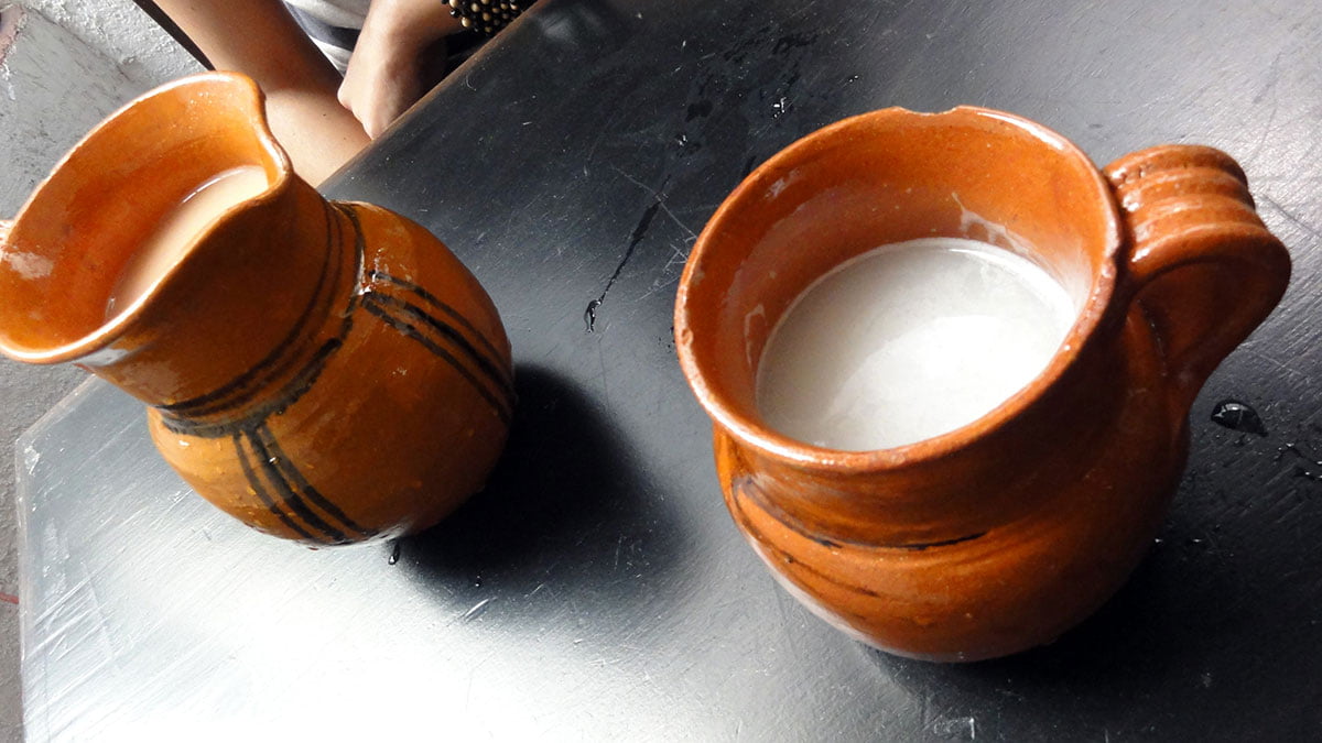 El pulque, la bebida de los dioses » Cocina con Alegría